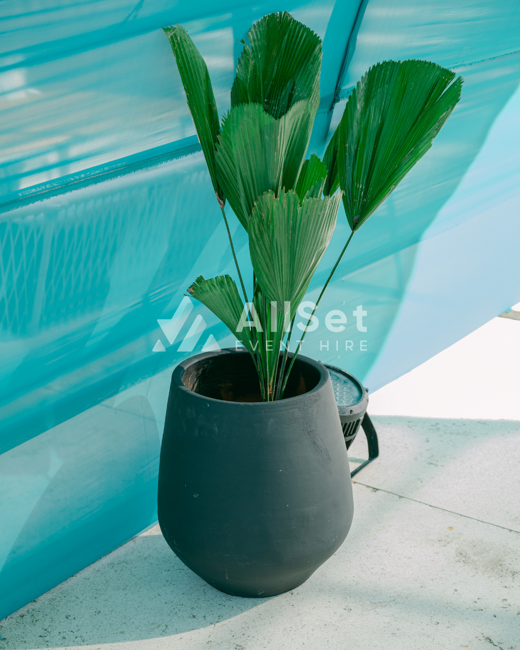 Palm Kol – AllSet Event Hire